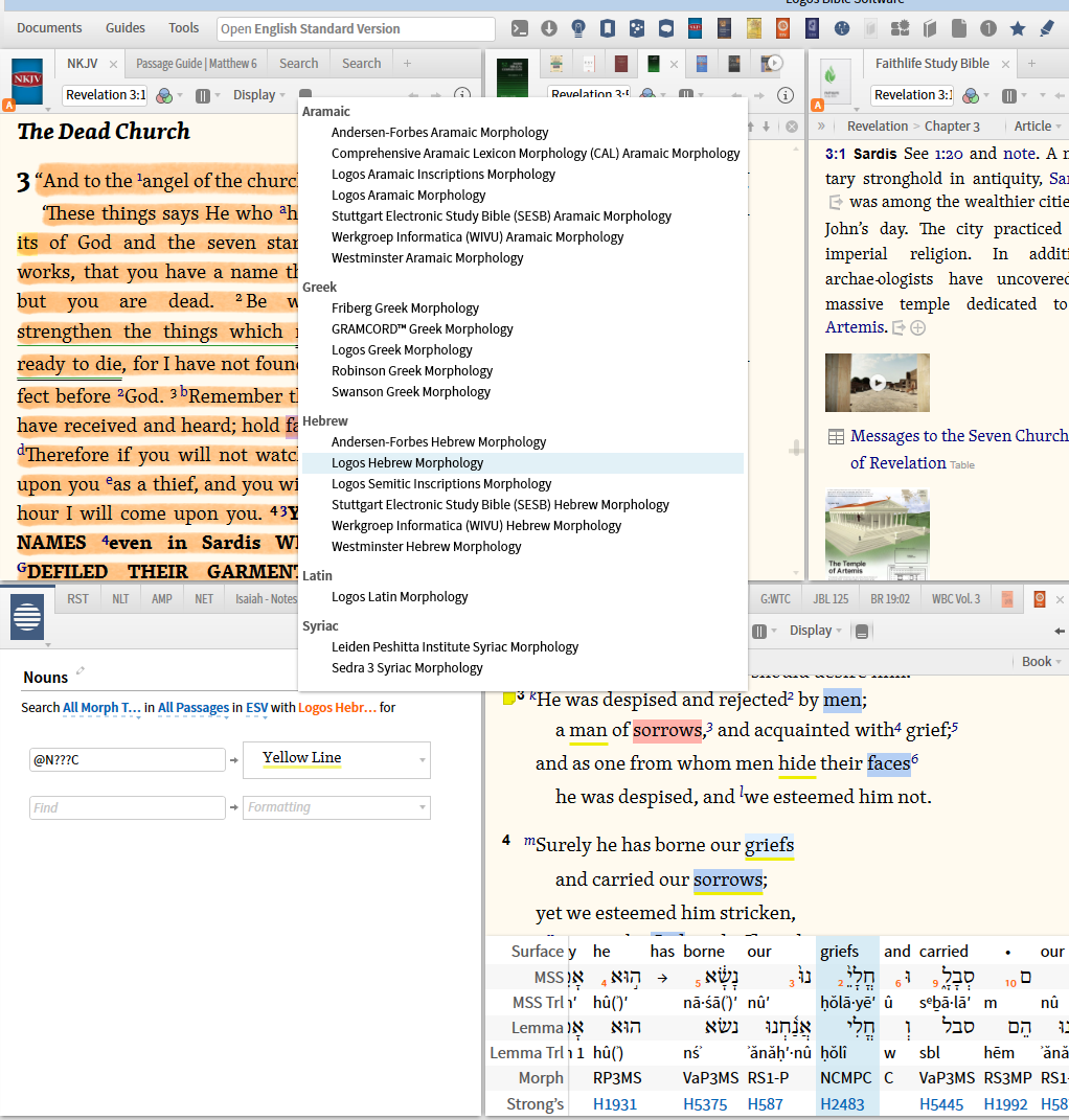 BUG: Morphology shows all types under Bible — Logos Community